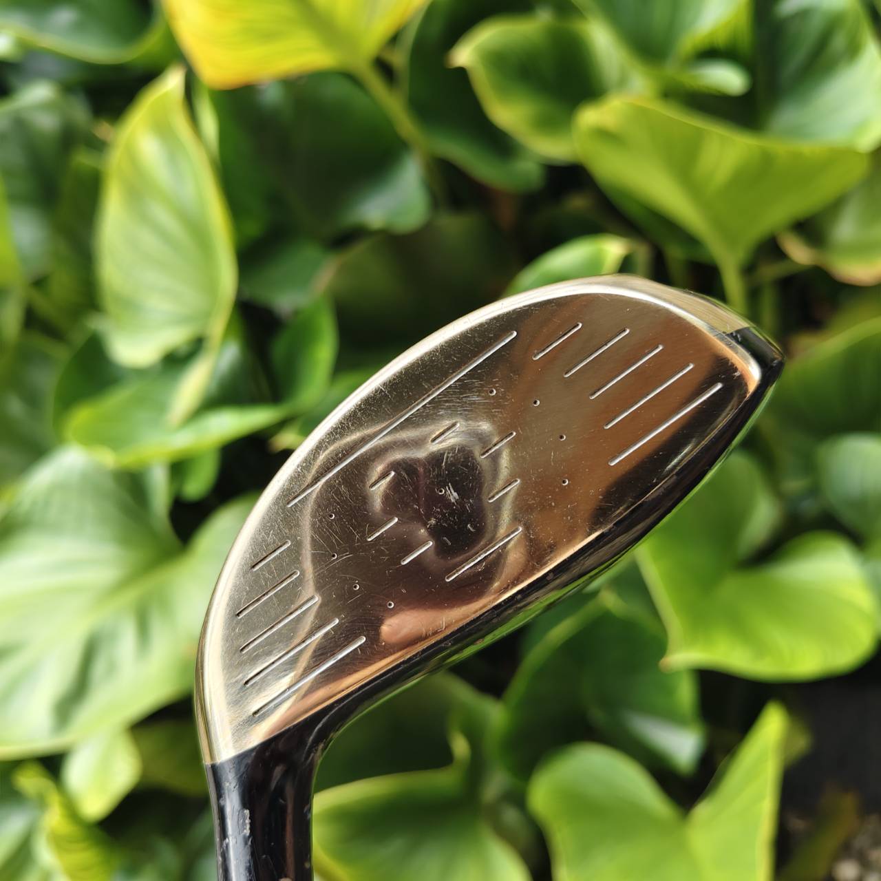 3W MARUMAN MAJESTY POWER – SB SOLE ตีไกลแบบขีดสุด หน้าเด้งมาก Sole แบบพิเศษ สไลด์ผ่านพื้นได้ดี ...